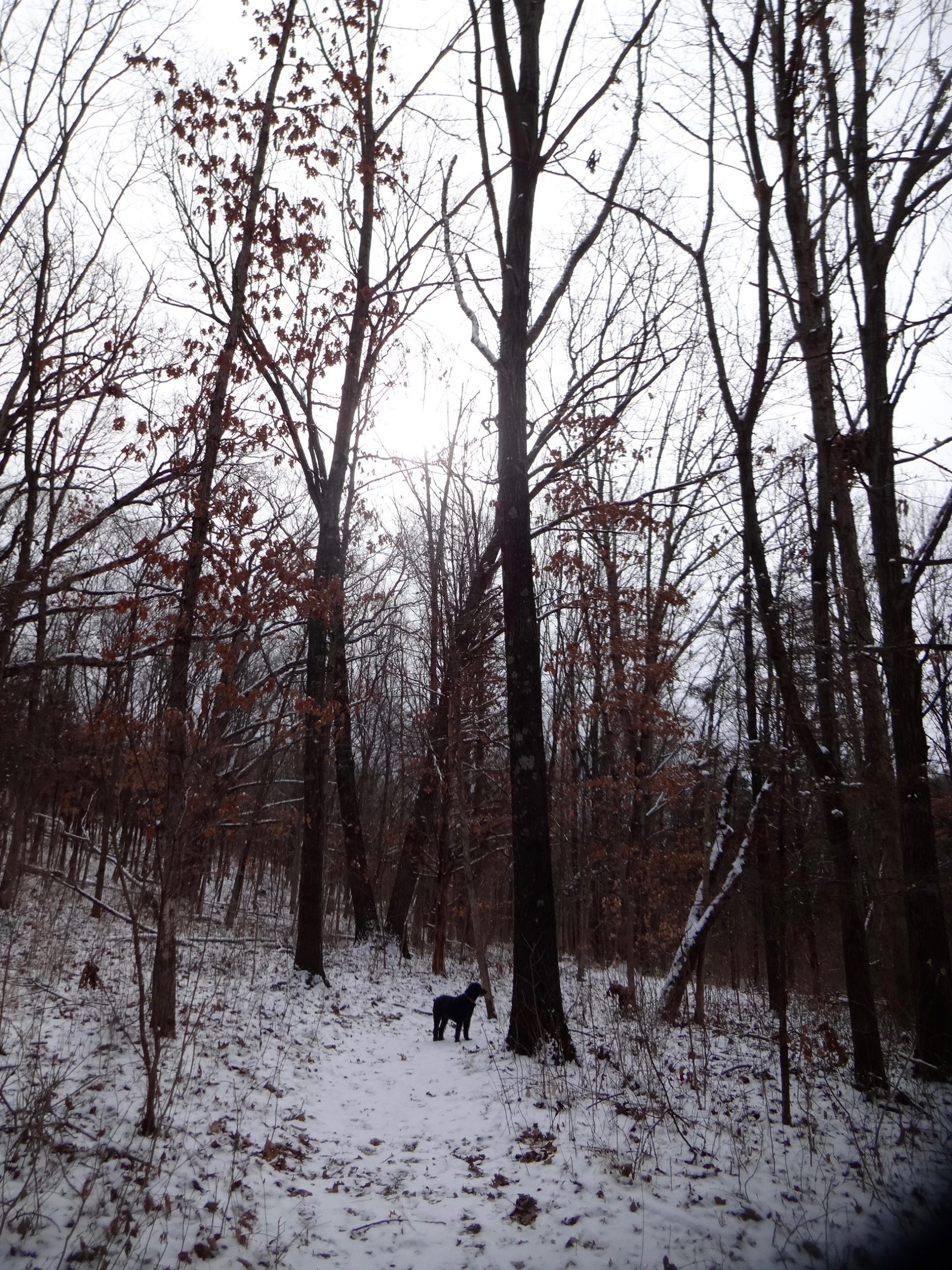 Uitwaiien! – Kay Foley